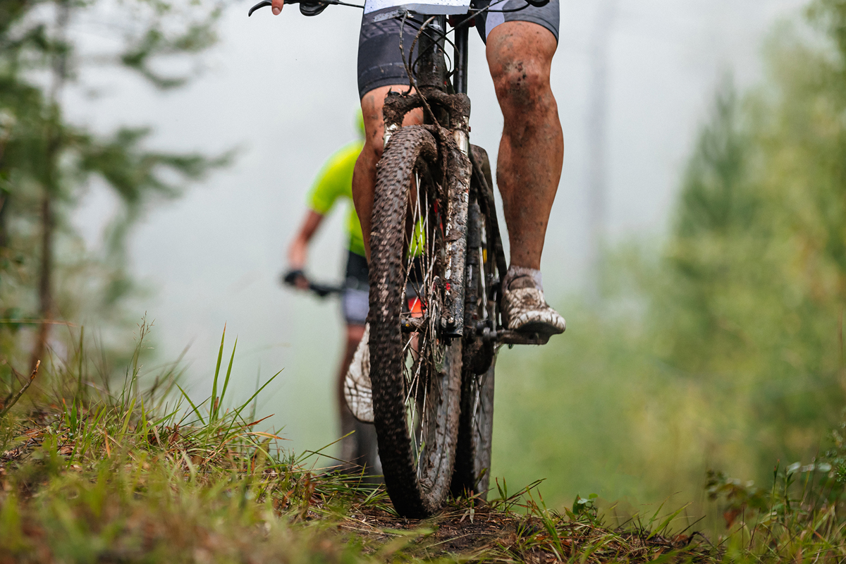 Vrijwillig vignet voor Veluwse ruiter- en mountainbikepaden levert ...